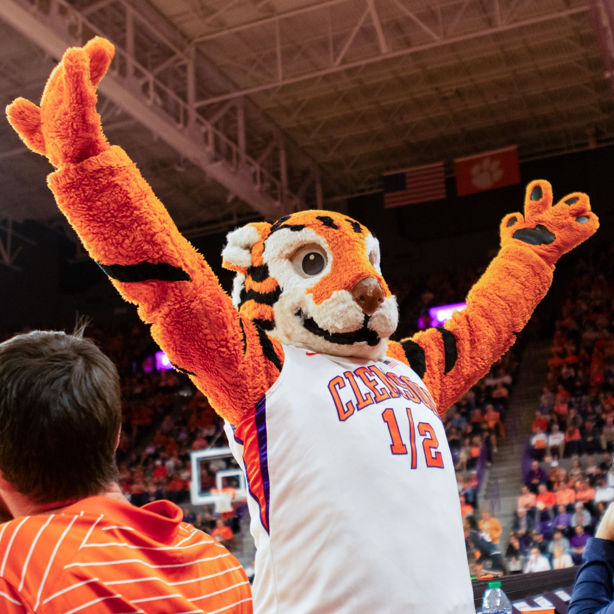 Clemson Mascot Name