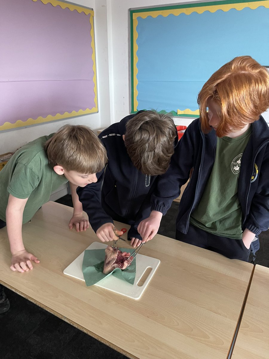 Maths Key Instant Recall Facts (KIRFs) - Harpenden Academy