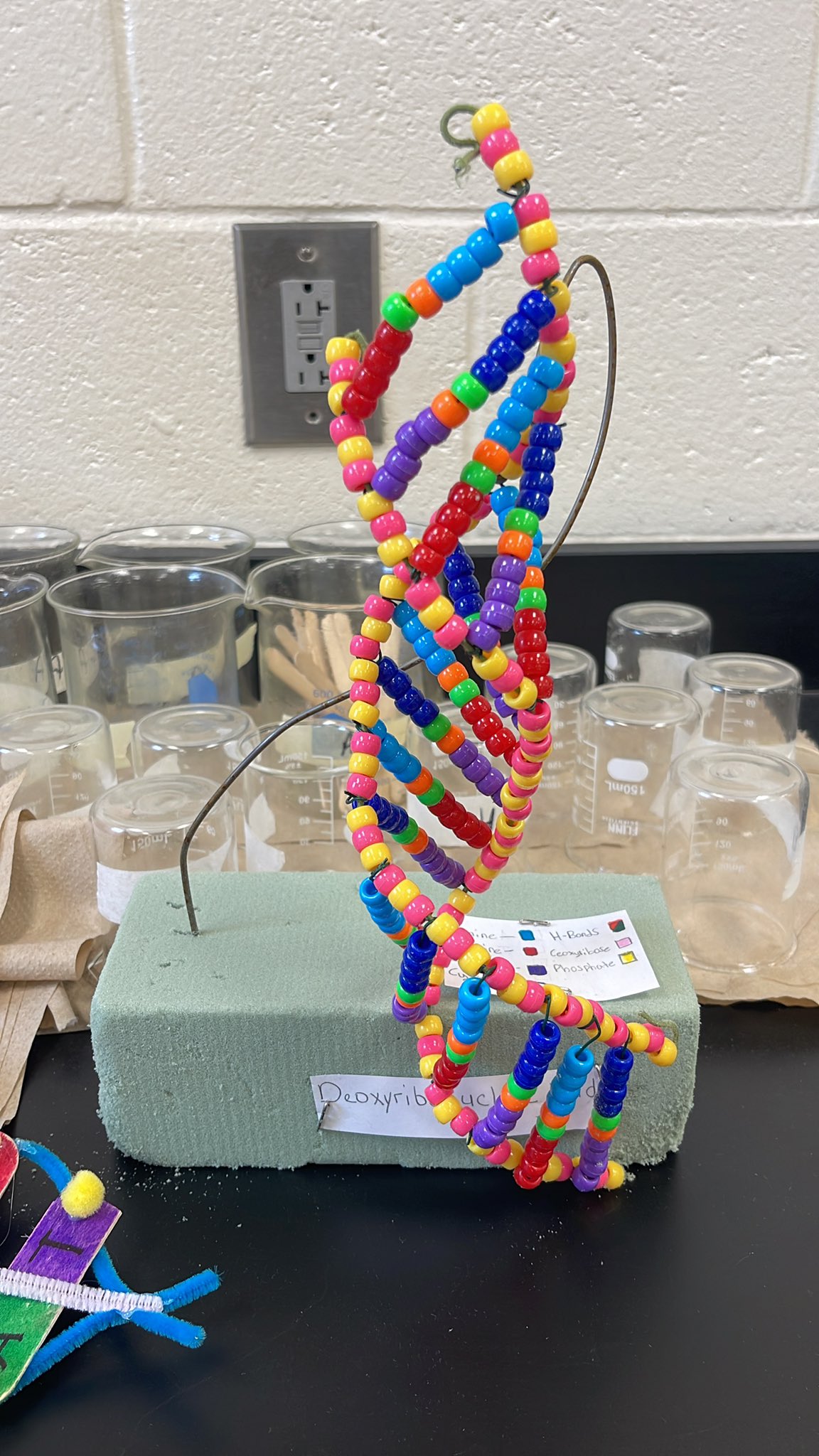 Dna Model Project Pipe Cleaners How To Make DNA With Pipe Cleaners