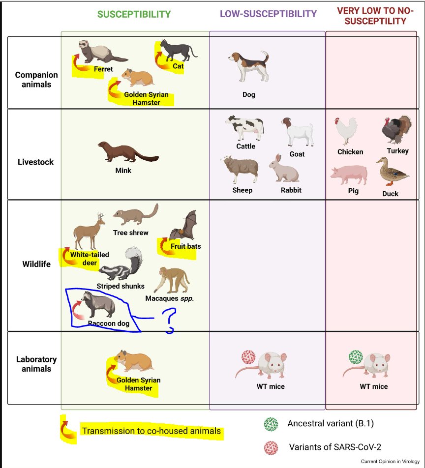 Billy Bostickson 🏴👁&👁 🆓's Threads – Thread Reader App