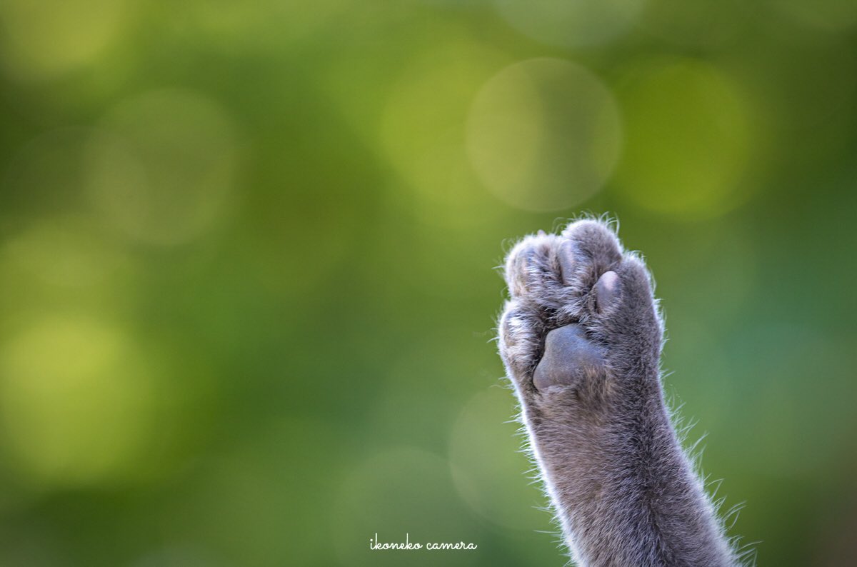 依音🌠(@ion1115) - Twilog (ツイログ)