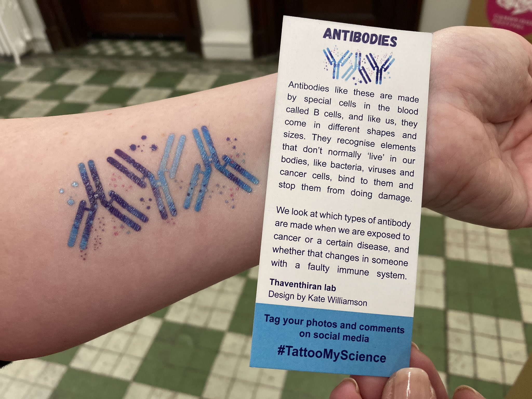 Bacterial Cell Tattoos Planning To Get A Tattoo? Here Are The Things