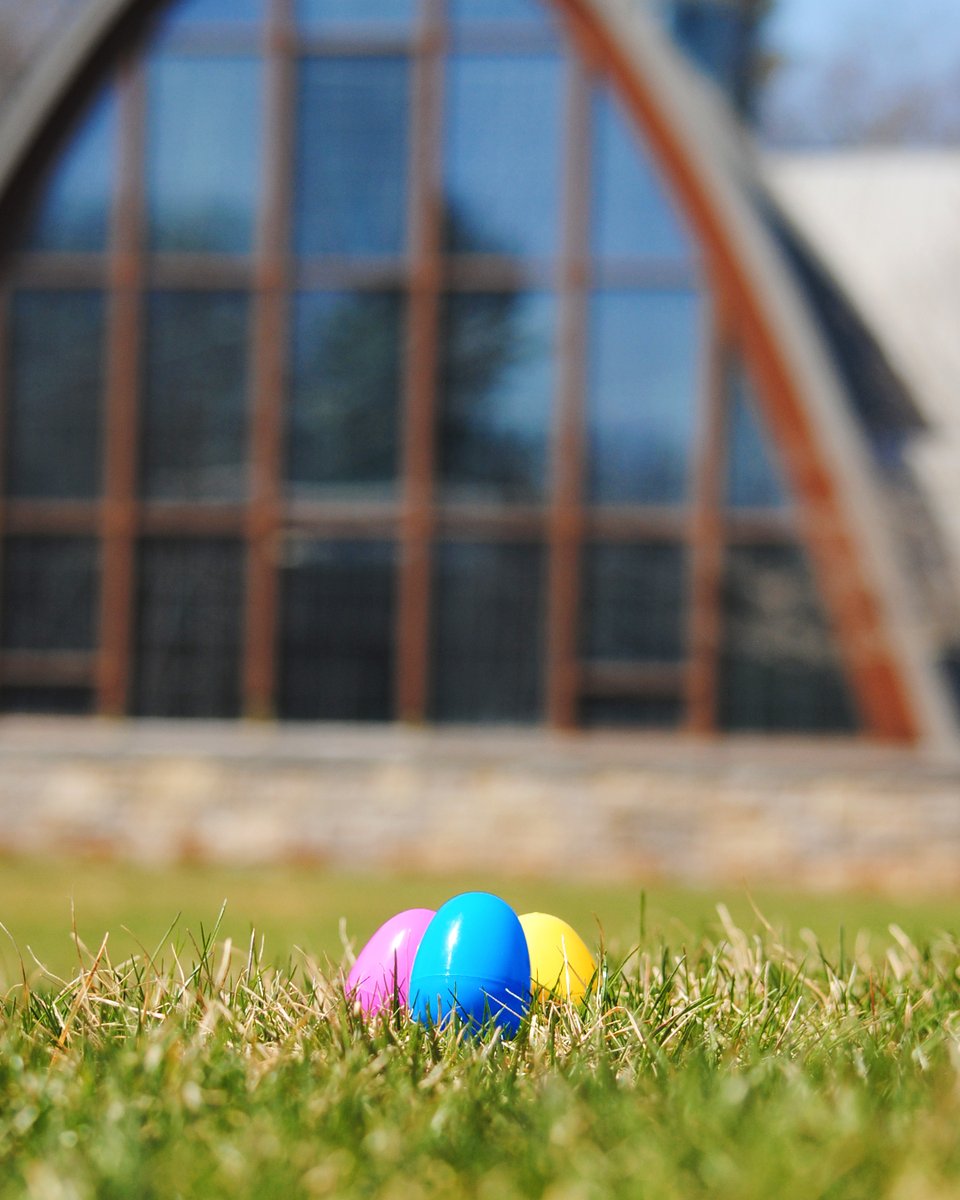 Top D2 Schools Social Media Benchmarks | Rival IQ