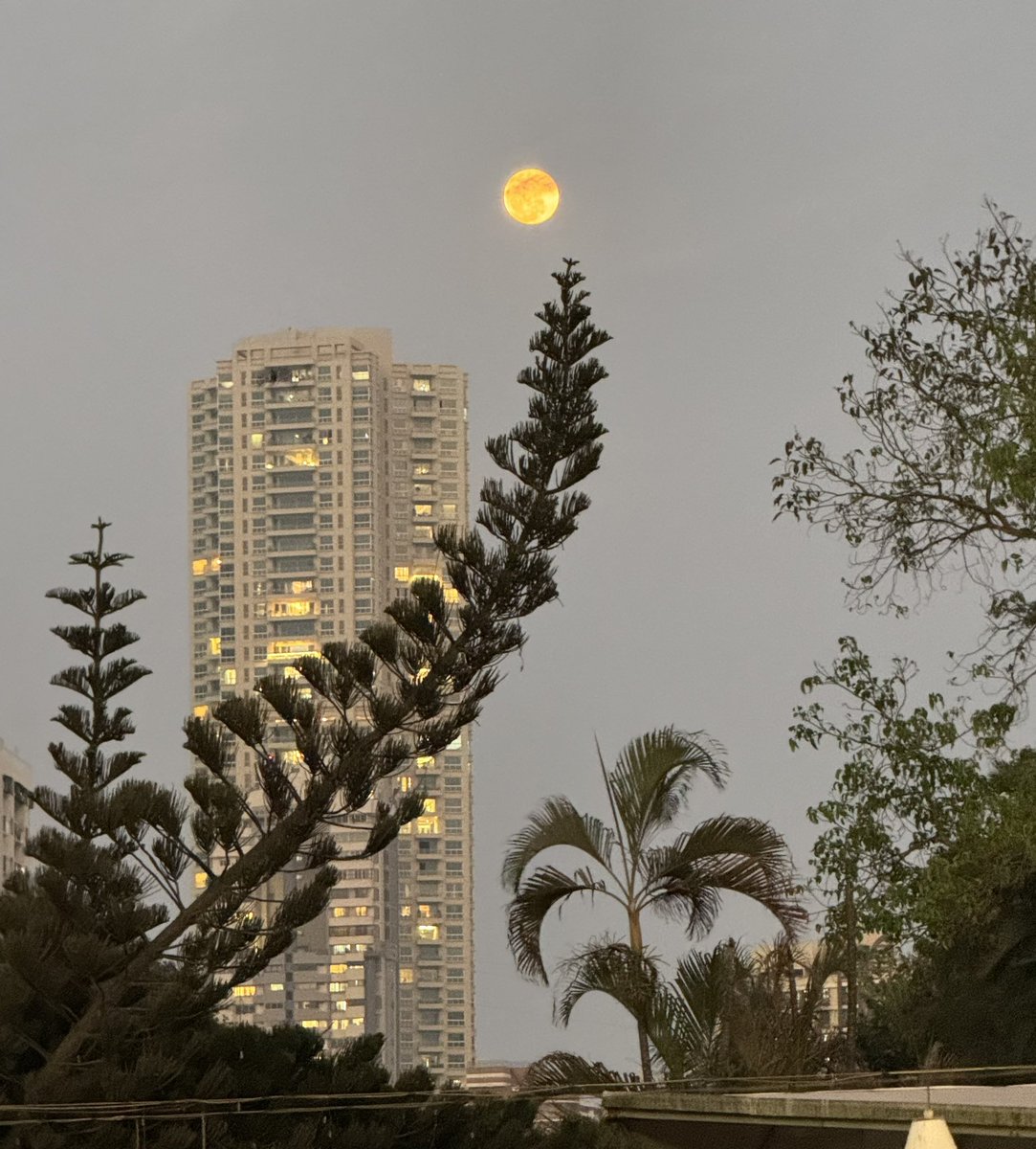 The Dictionary defines a “Moonshot” as ‘an ambitious and innovative ...