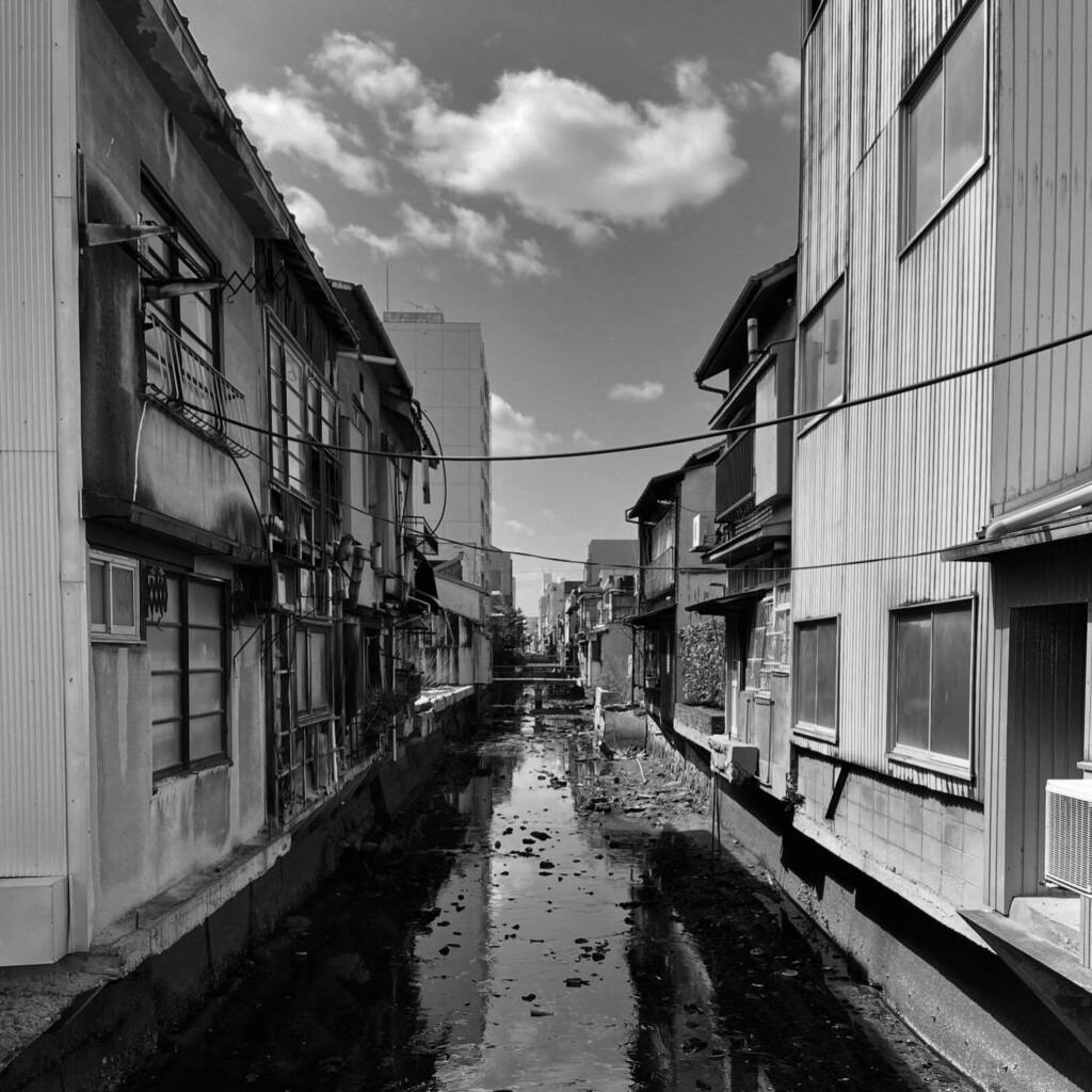 Kimura Goro(@ksphagnum) - Twilog (ツイログ)