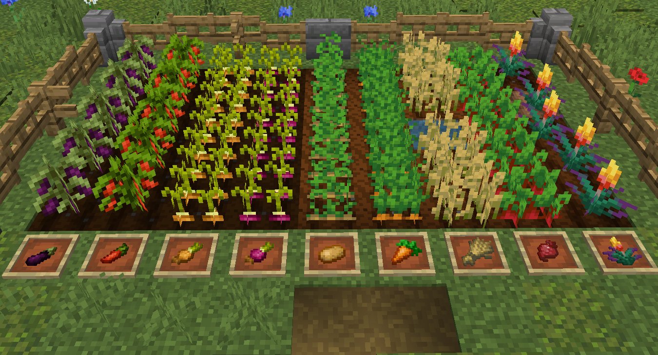 Minecraft Crops