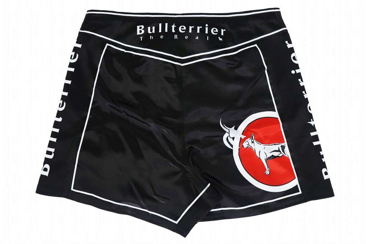 Aya Murakami(村上 彩)(@aya_bjj) - Twilog (ツイログ)