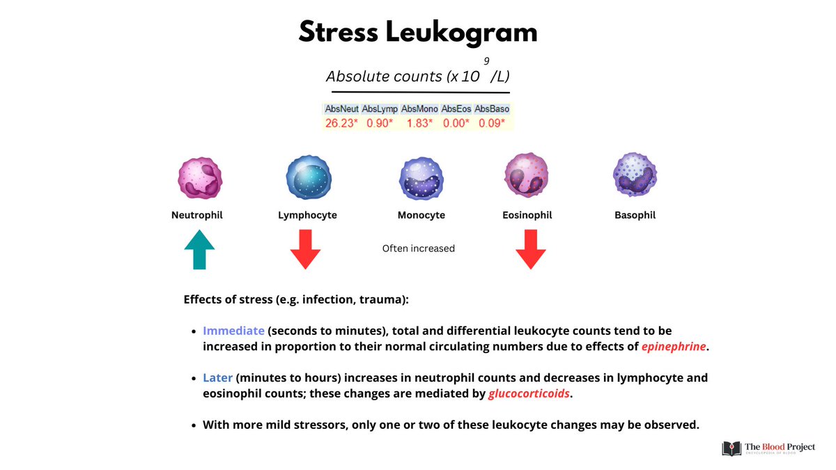 1/2 STRESS LEUKOGRAM I posted a WBC differential yesterday and asked 4 questions. The questions ...