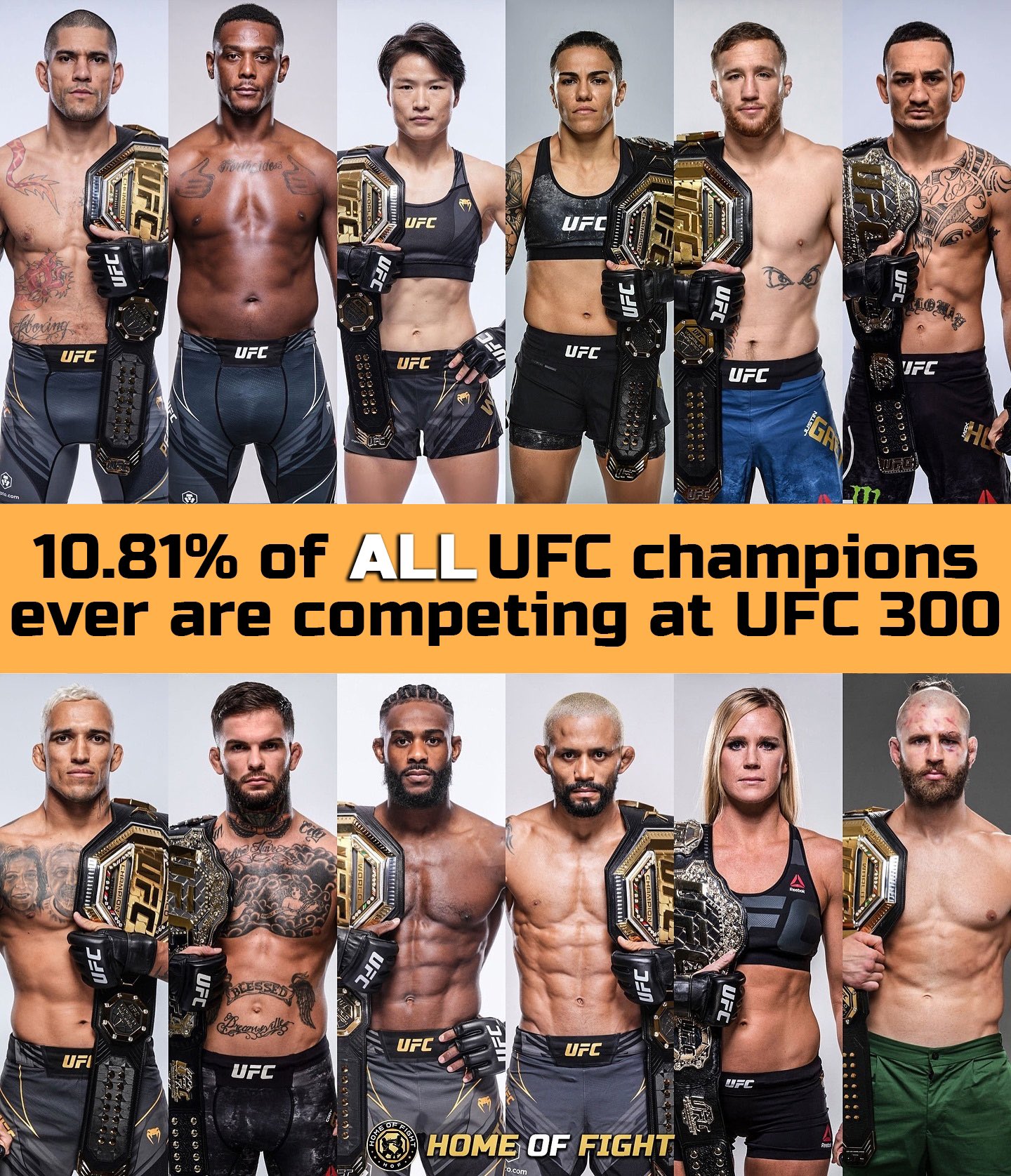 All Ufc Champions