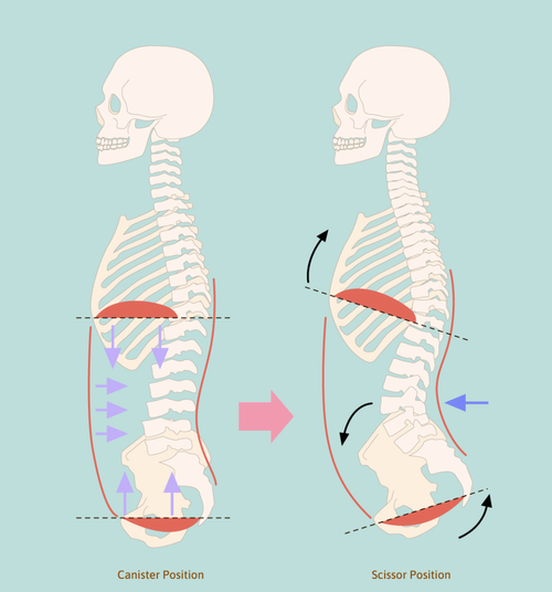 Hanging Week I heard a doctor claim that 90%+ of his patients set for ...