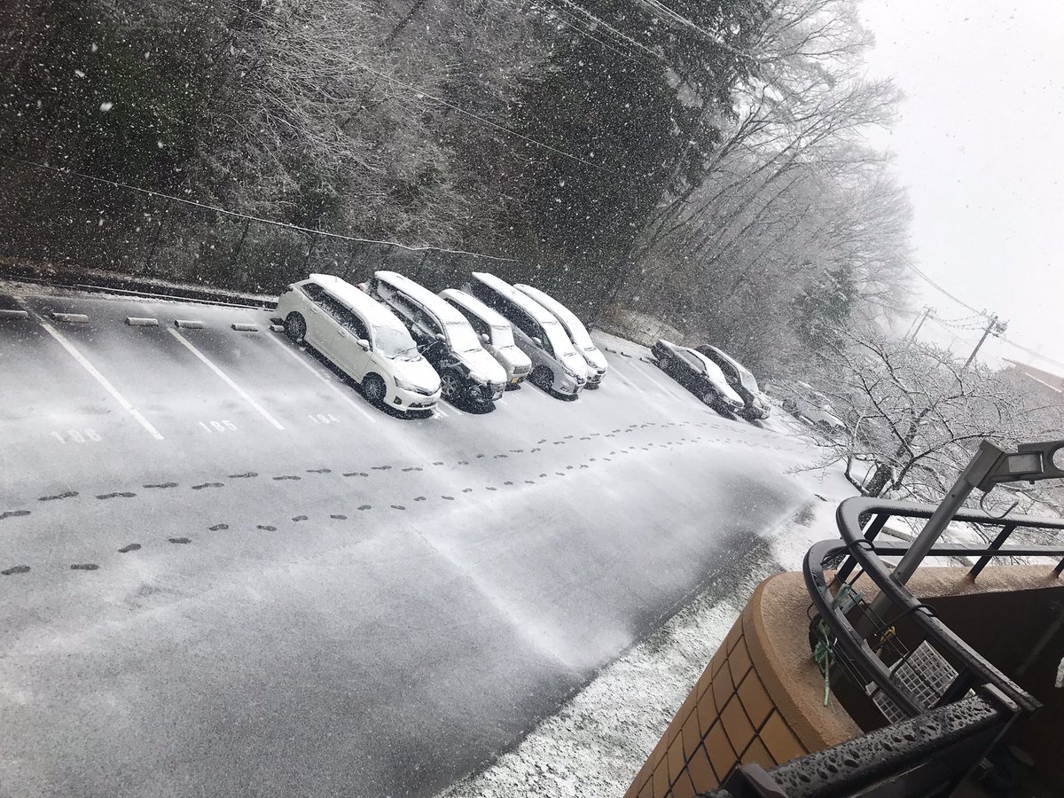 まさかる(@MSKR_DTV) - Twilog