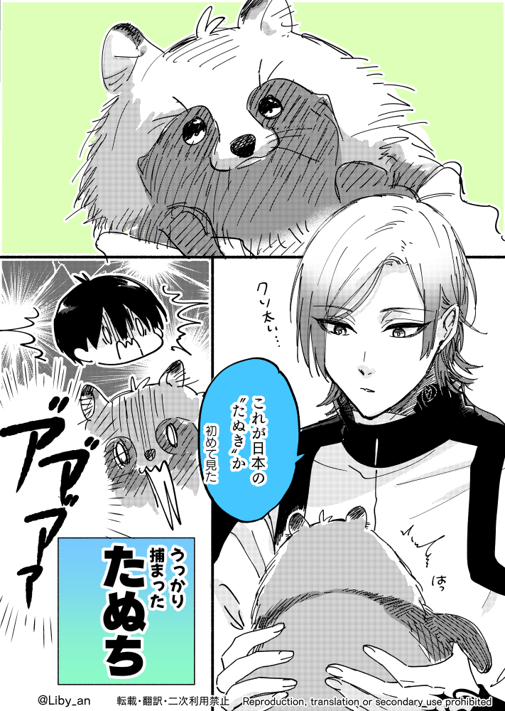 「たぬきだった41(1/2) kiis / カイいさ 」りびこの漫画