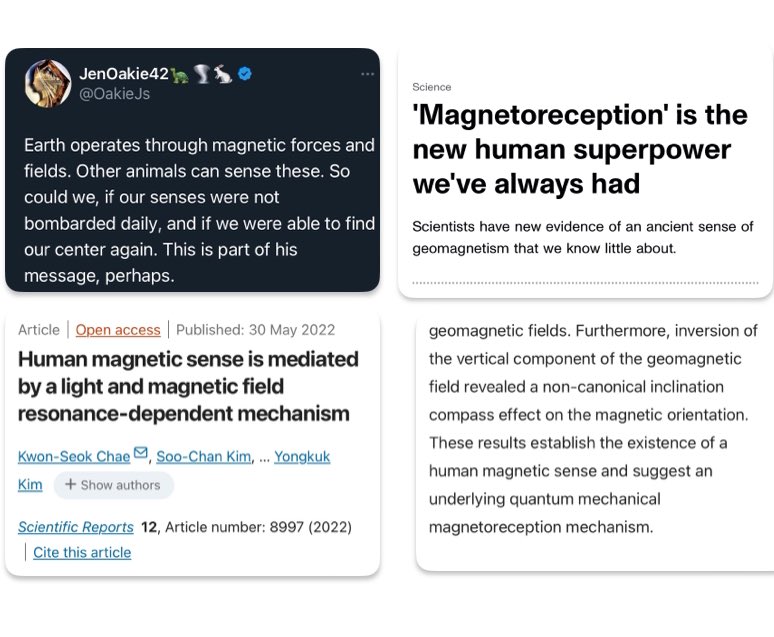 A tale of Energy. Power. The Field. Mystical past, modern day marvel ...