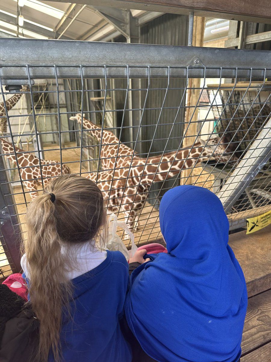 Wigmore Primary School | Nurturing Excellence