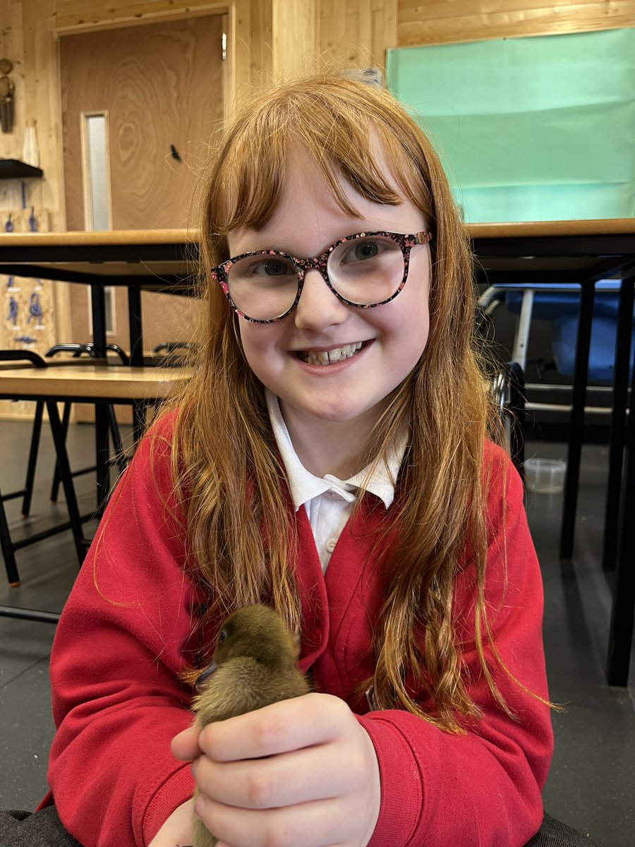 Abbeyfields School | Where every child is special