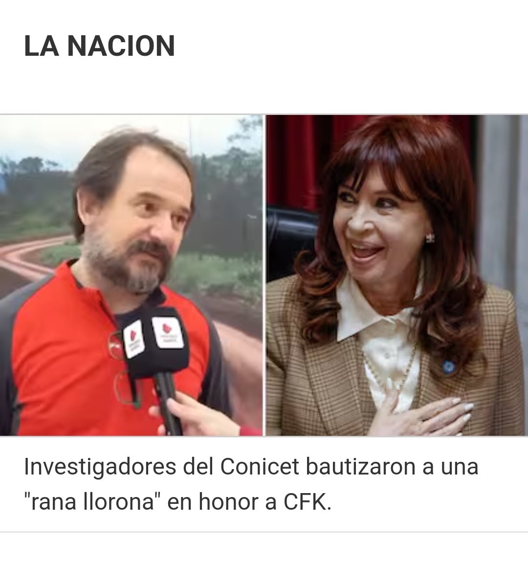 Memes Rana Llorona