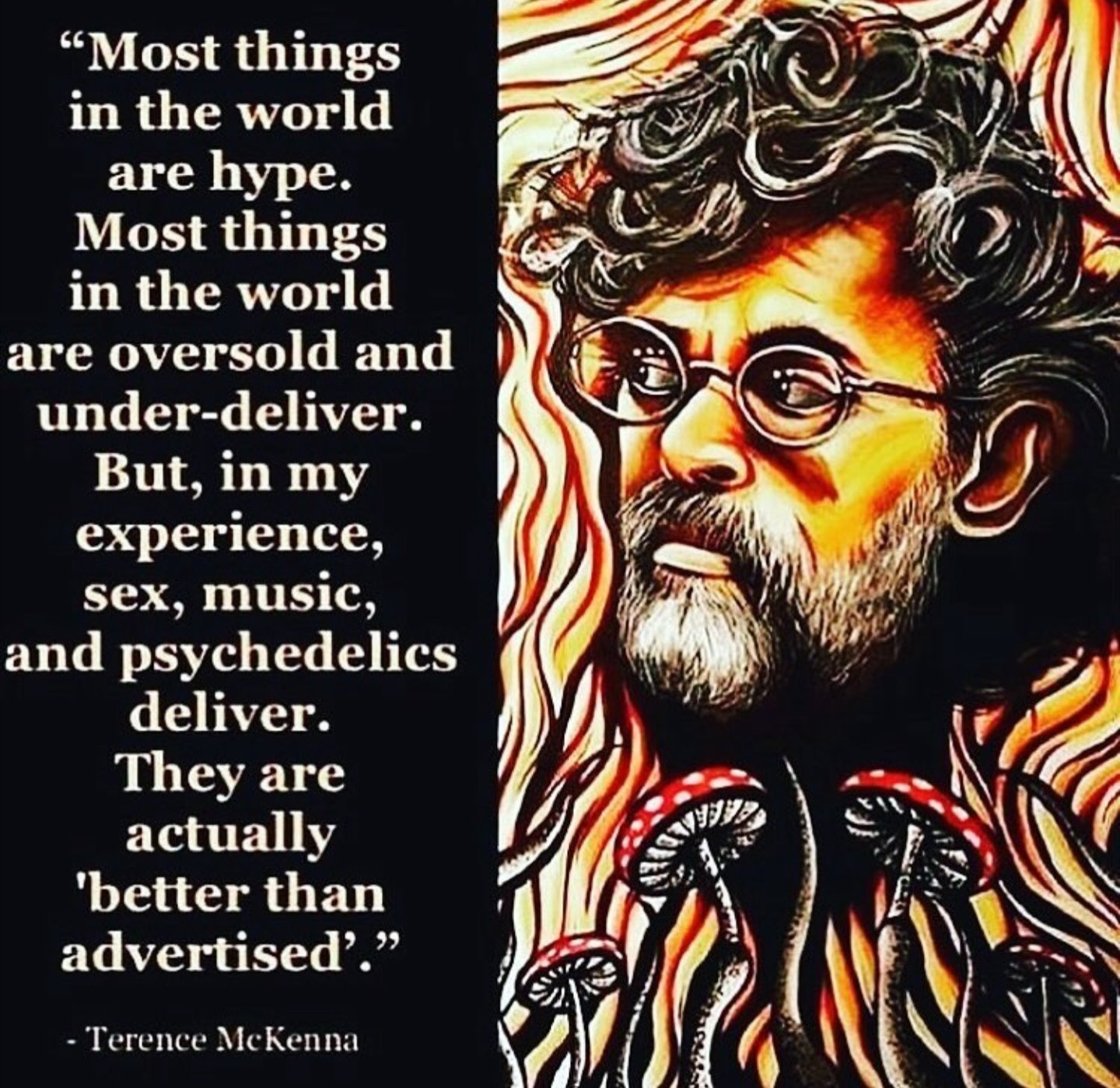 Mckenna Terence Quotes Terence Mckenna Printable Art Quote Etsy
