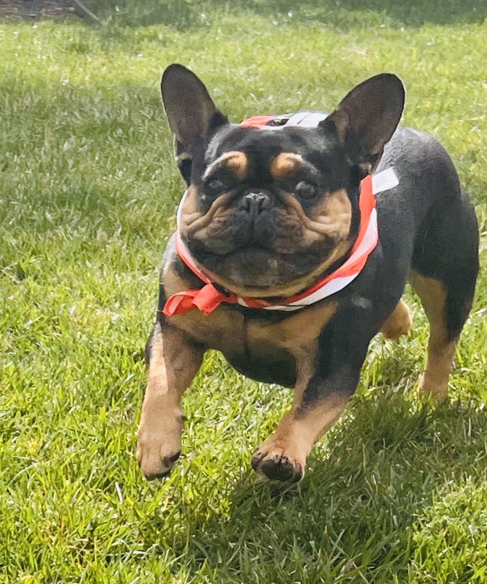 JUFD-681 働く女の艶めかしい完全着衣ファック NAOMI - myAV.com | オンラインで無料ハ