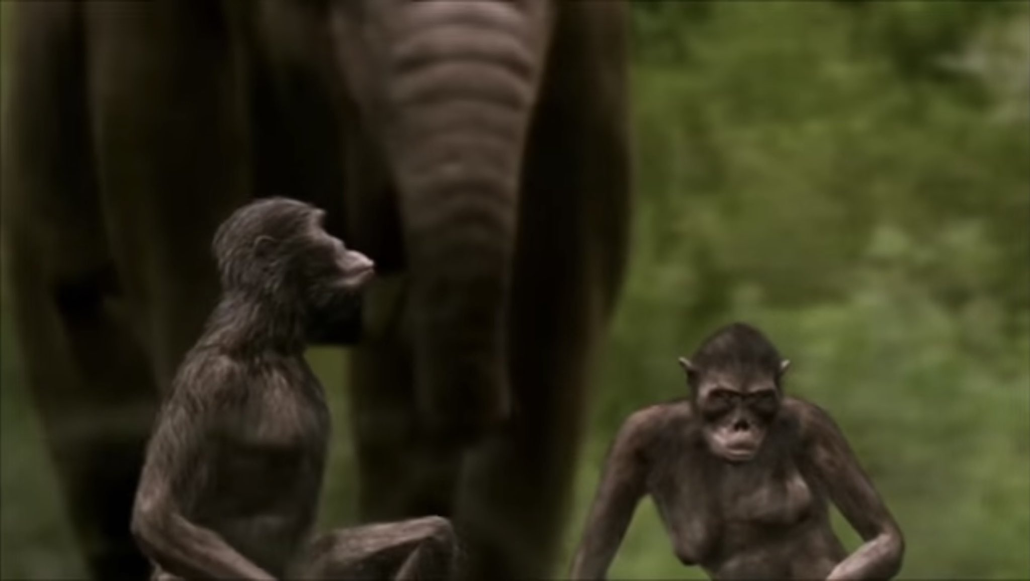 Walking With Beasts Australopithecus