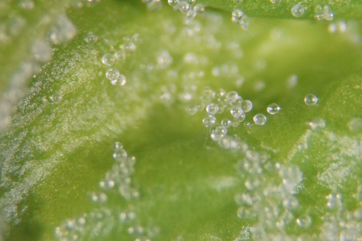 よいだ(@Yoida_3) - Twilog (ツイログ)