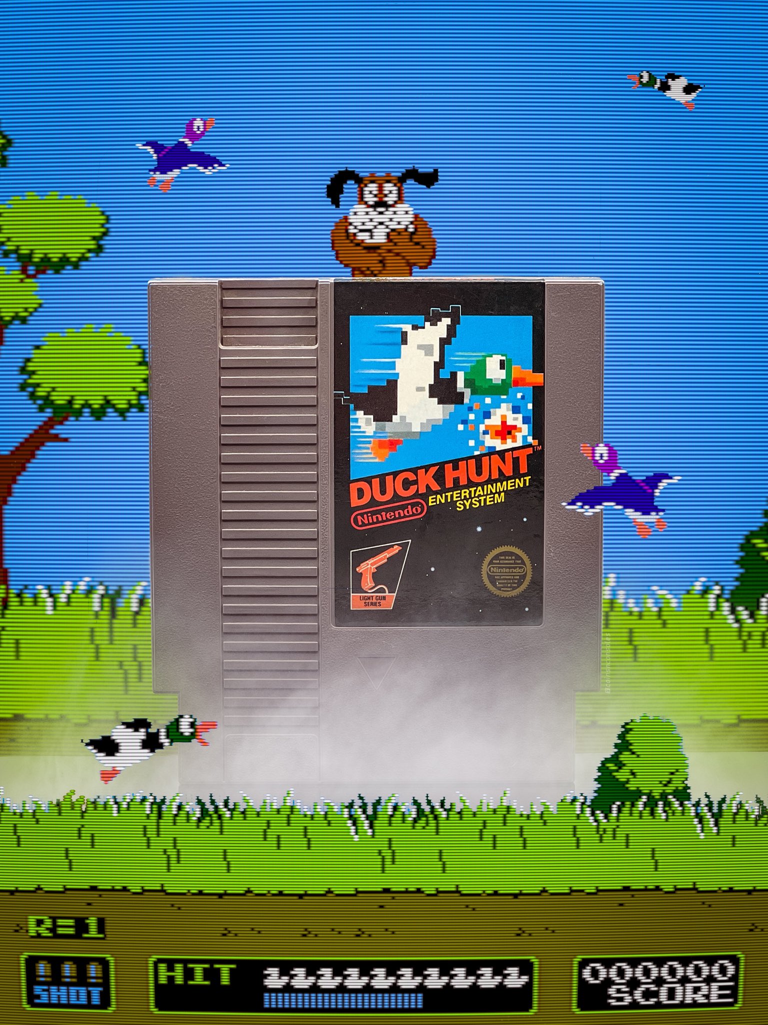 Atari Duck Hunt