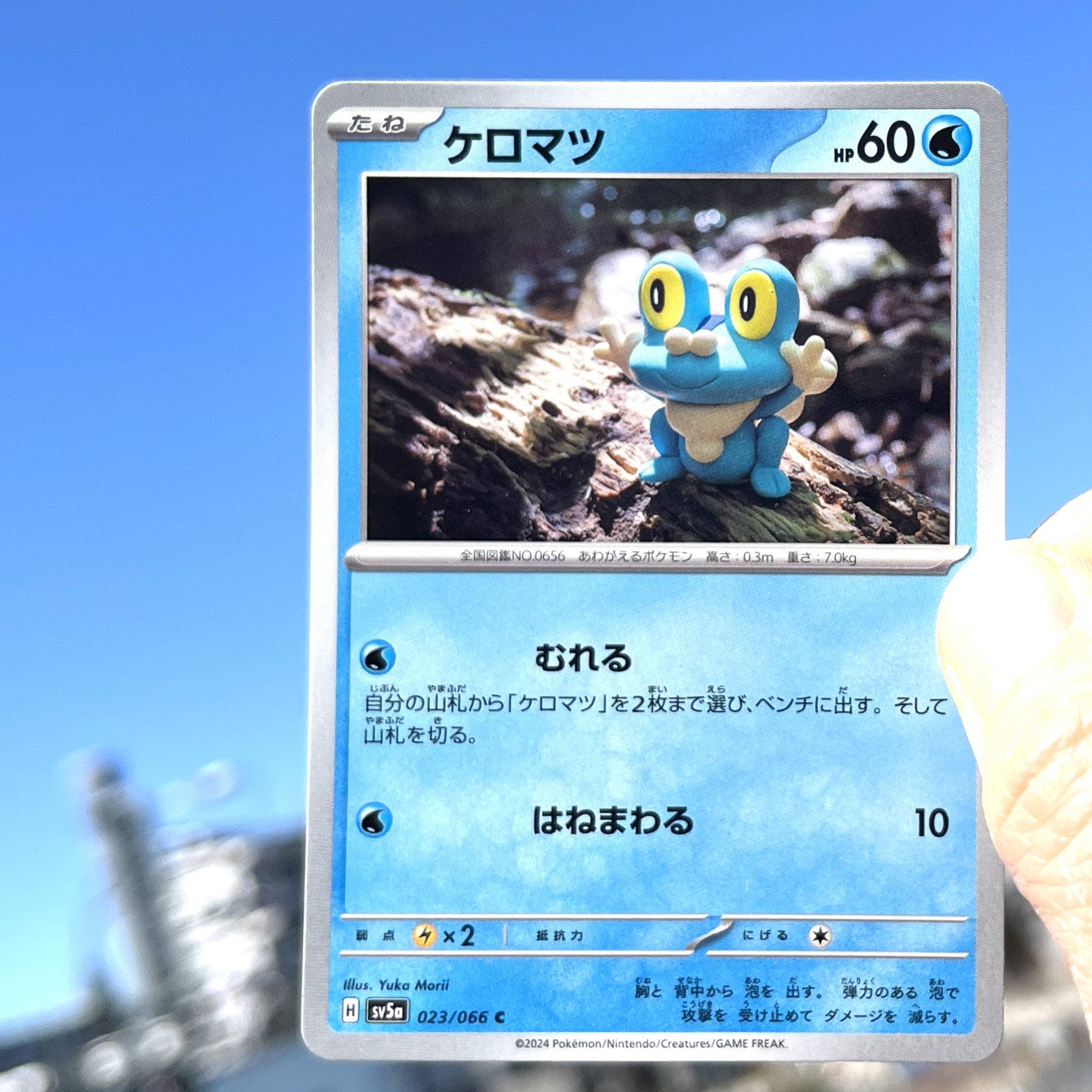 Froakie Card