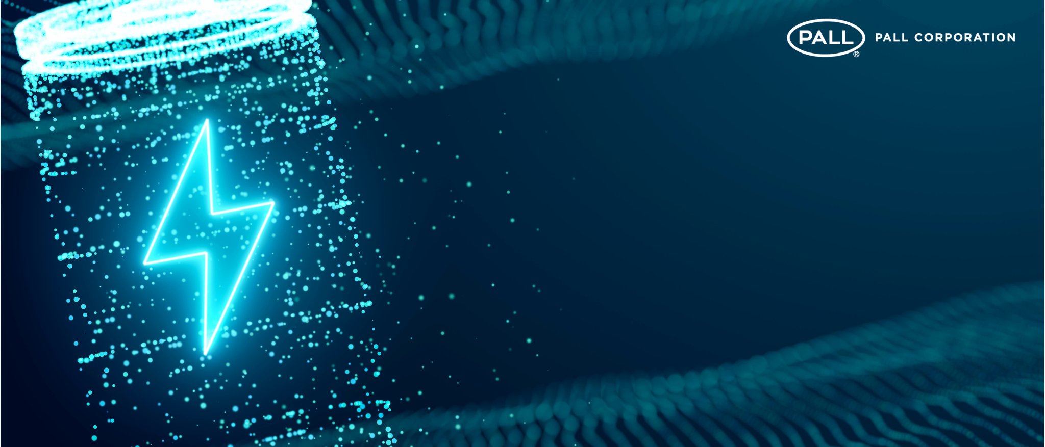 Pall Corp Logo NXT5 10U / NXT5 10U / NXT510U, PALL Filter Cartridge