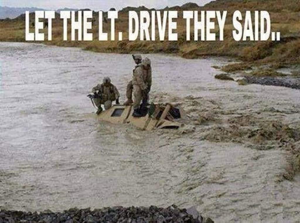 2nd Lt Memes Veterans Day, 2020 | Cat Rotator's Quarterly