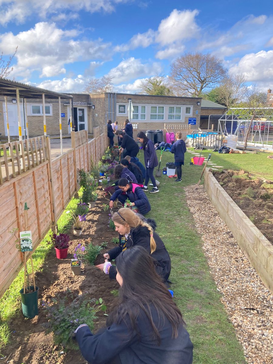 Our Vision, Mission and Values - Learning Partners Academy Trust