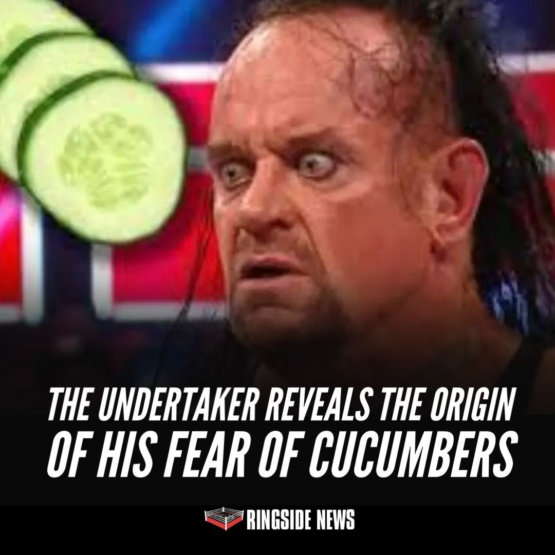 Undertaker Reaction Memes The Undertaker Reveals CM Punk's Reaction