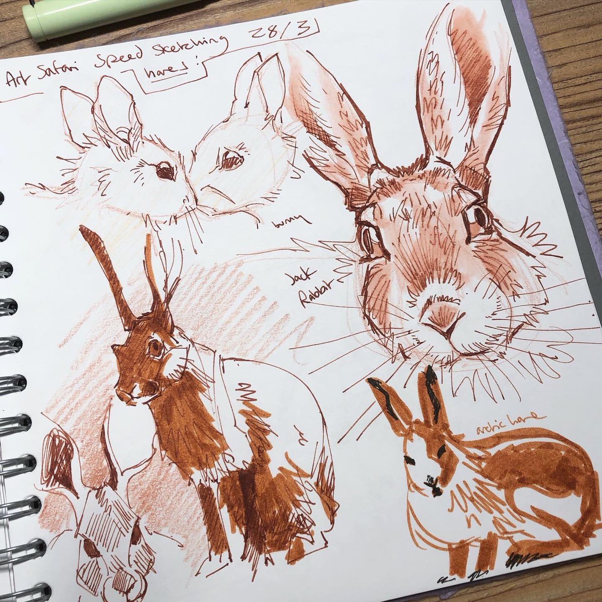 「the blob animals of all time 」Finchの漫画