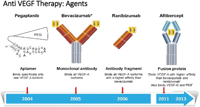 🧵 **Tweetorial**: Unraveling the Impact of Intravitreal Anti-VEGF on Kidney Failure 🧵 - Thread ...