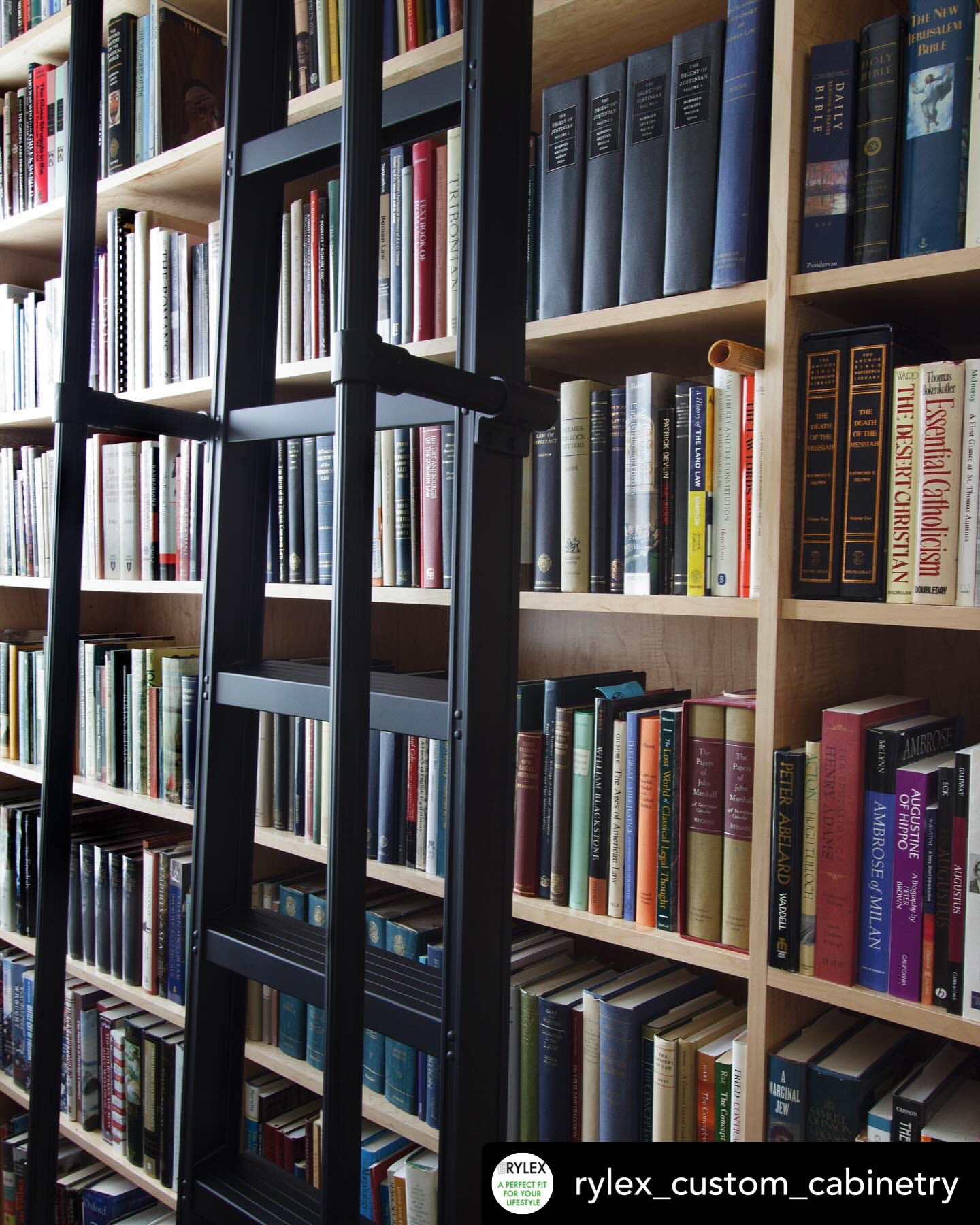Augustus Library Bookshelf Ladder
