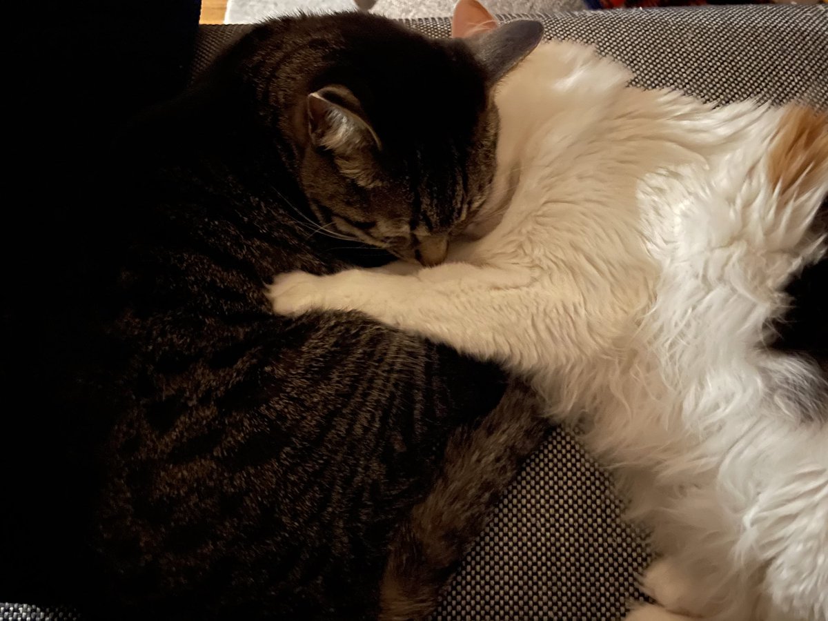 Masataka HIGUCHI(@HIGUCHI_MA) - Twilog (ツイログ)