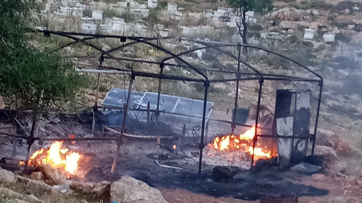 Younis Tirawi | يونس's Threads – Thread Reader App