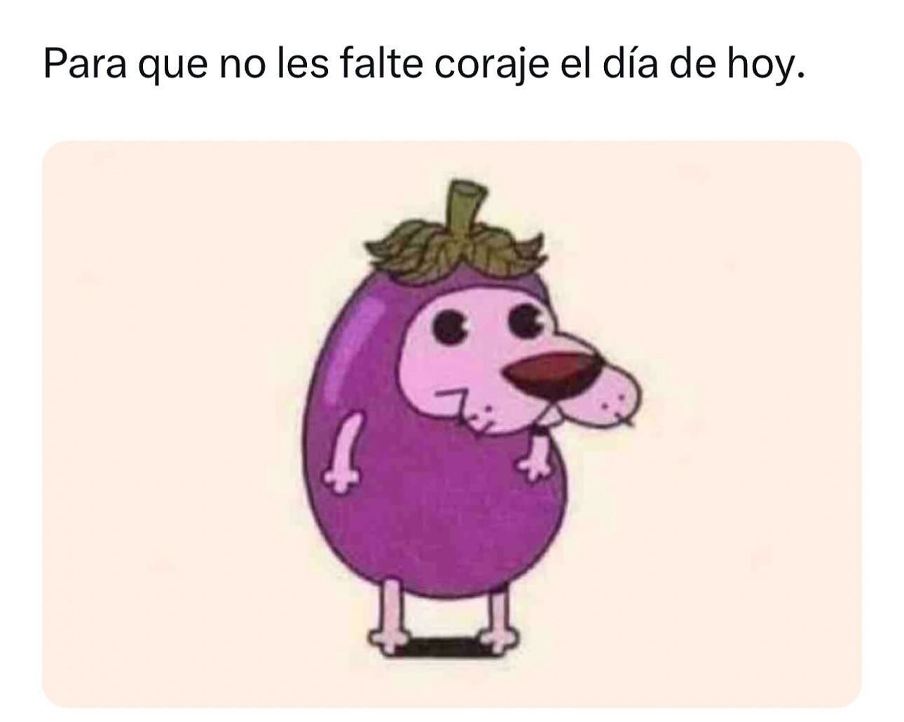 Memes De Corajes