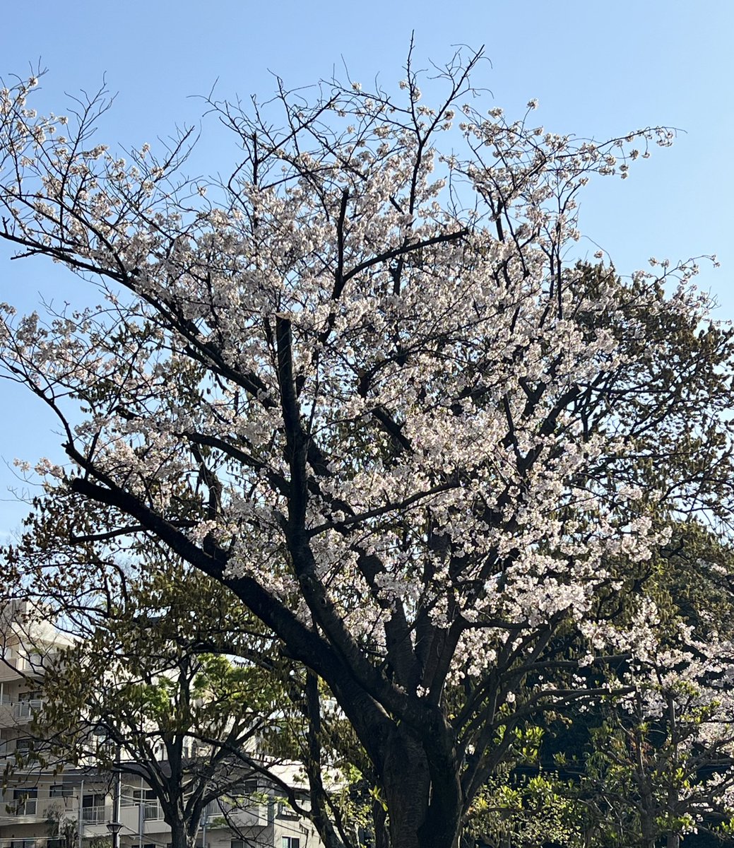 EventBank（イベントバンク）【公式】(@i_eventbank) - Twilog (ツイログ)