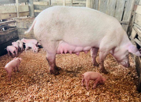 5 small business that will definitely guarantee you very high profits ...