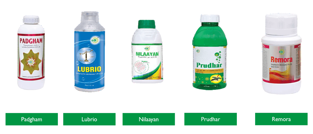 Do you know about a company which has planned to quadruple its revenues ...