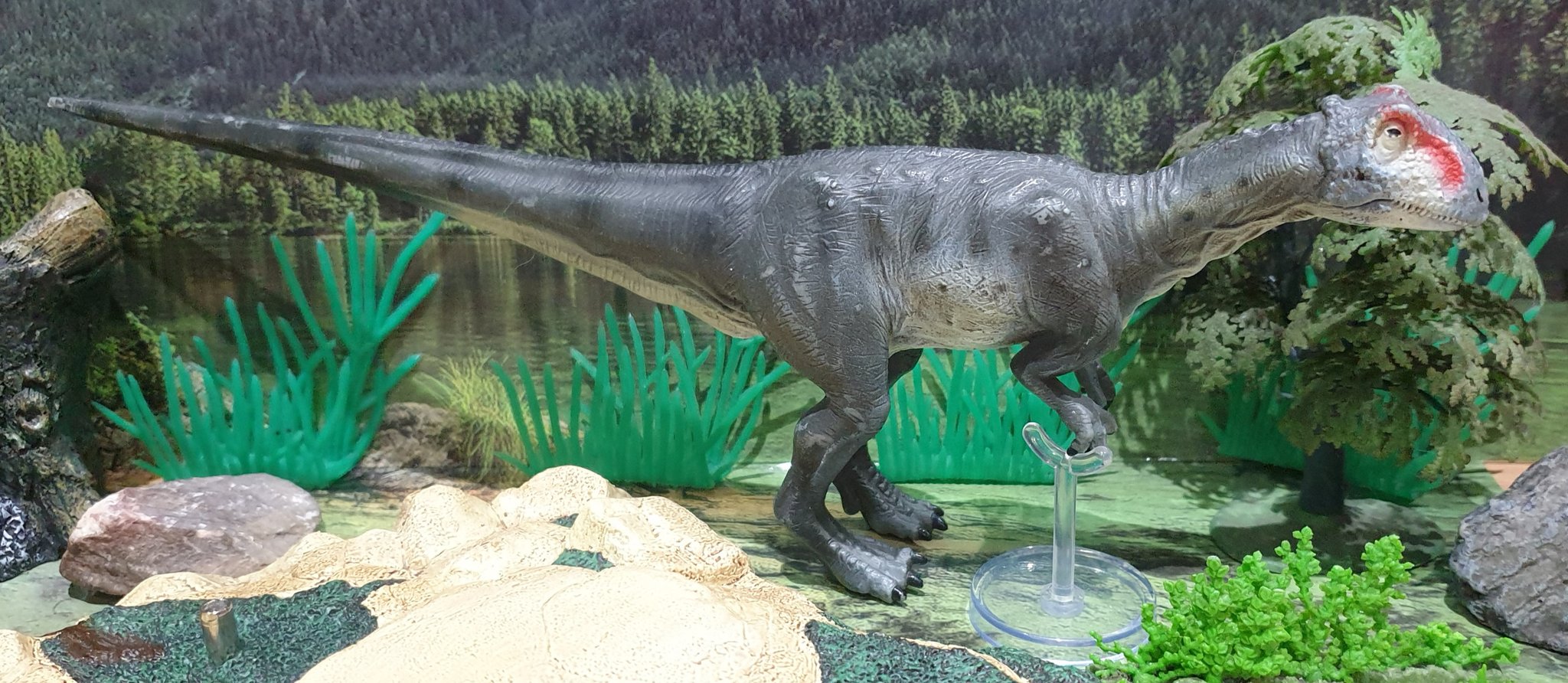 Walking With Dinosaurs Allosaurus Toy Papo France Allosaurus Kids