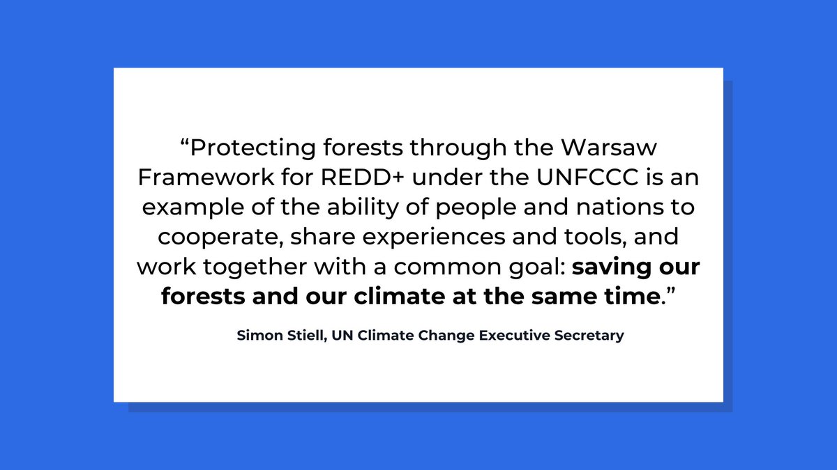 CfRN COP27 2022 - Coalition for Rainforest Nations