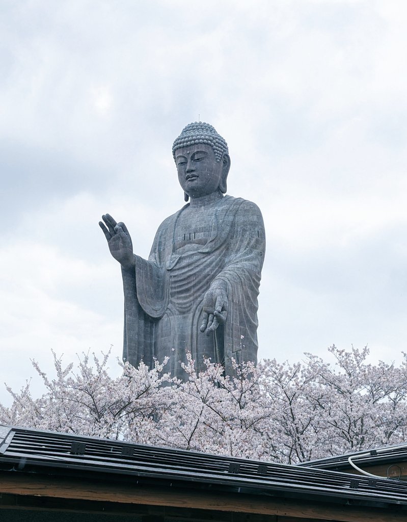 ぎんなん🍕🐢(@DO1_O36) - Twilog (ツイログ)