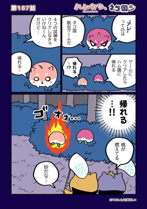 ╭━━━━━━╮ ネコ国編 ╰━ v ━━━━╯ 「桃が燃えてる.. | TMSLab(トムスラボ) さんのマンガ | ツイコミ(仮)