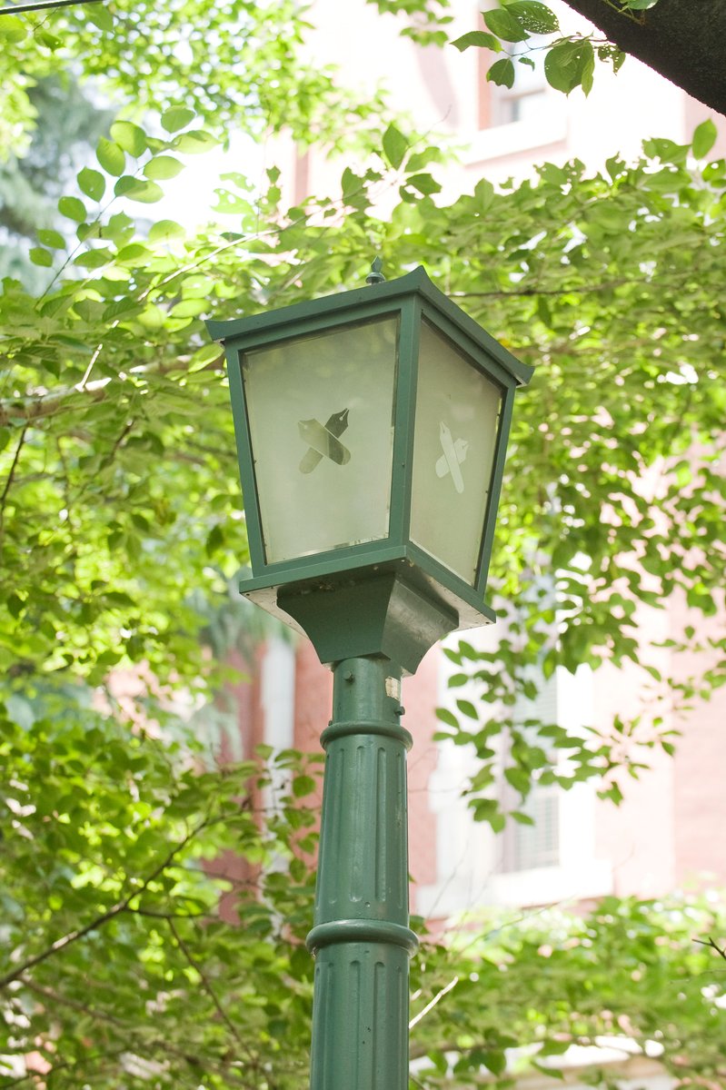 Triad sou.(@triadsou) - Twilog (ツイログ)