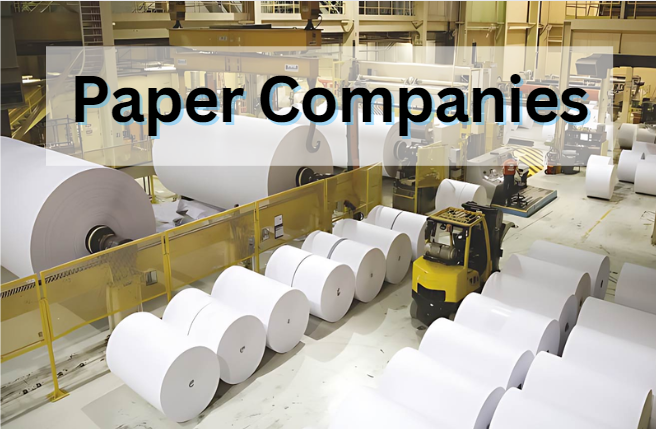 🧻Sector: Paper 🧻18 Companies Specializing in Manufacturing Various ...