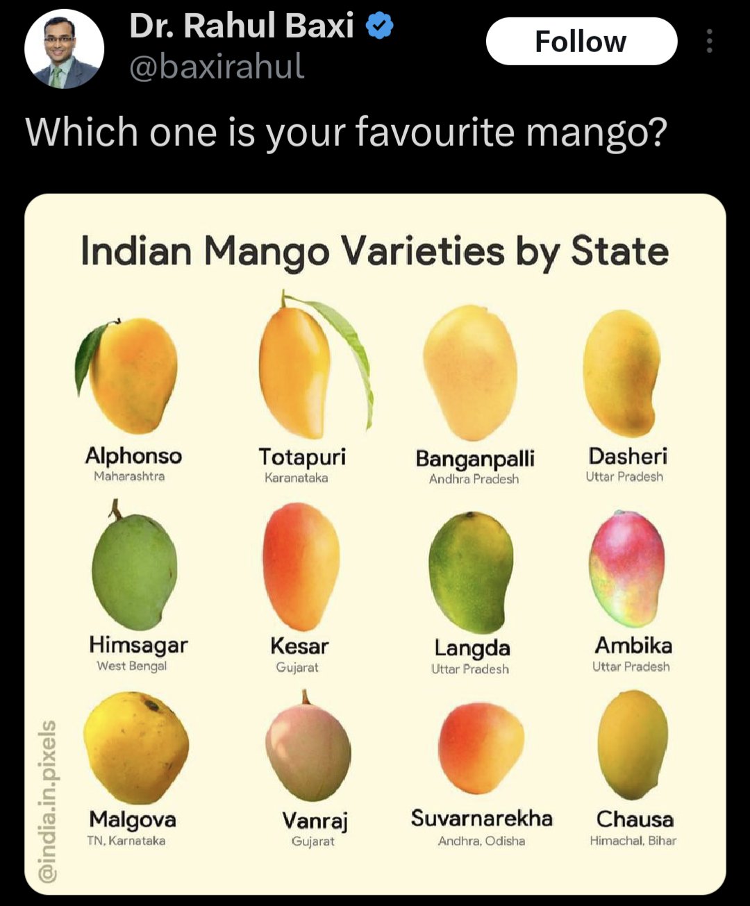 Mango Season Memes