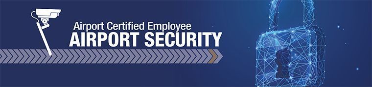 Navigating Turbulent Times: Tackling the Rise of Unruly Passenger ...