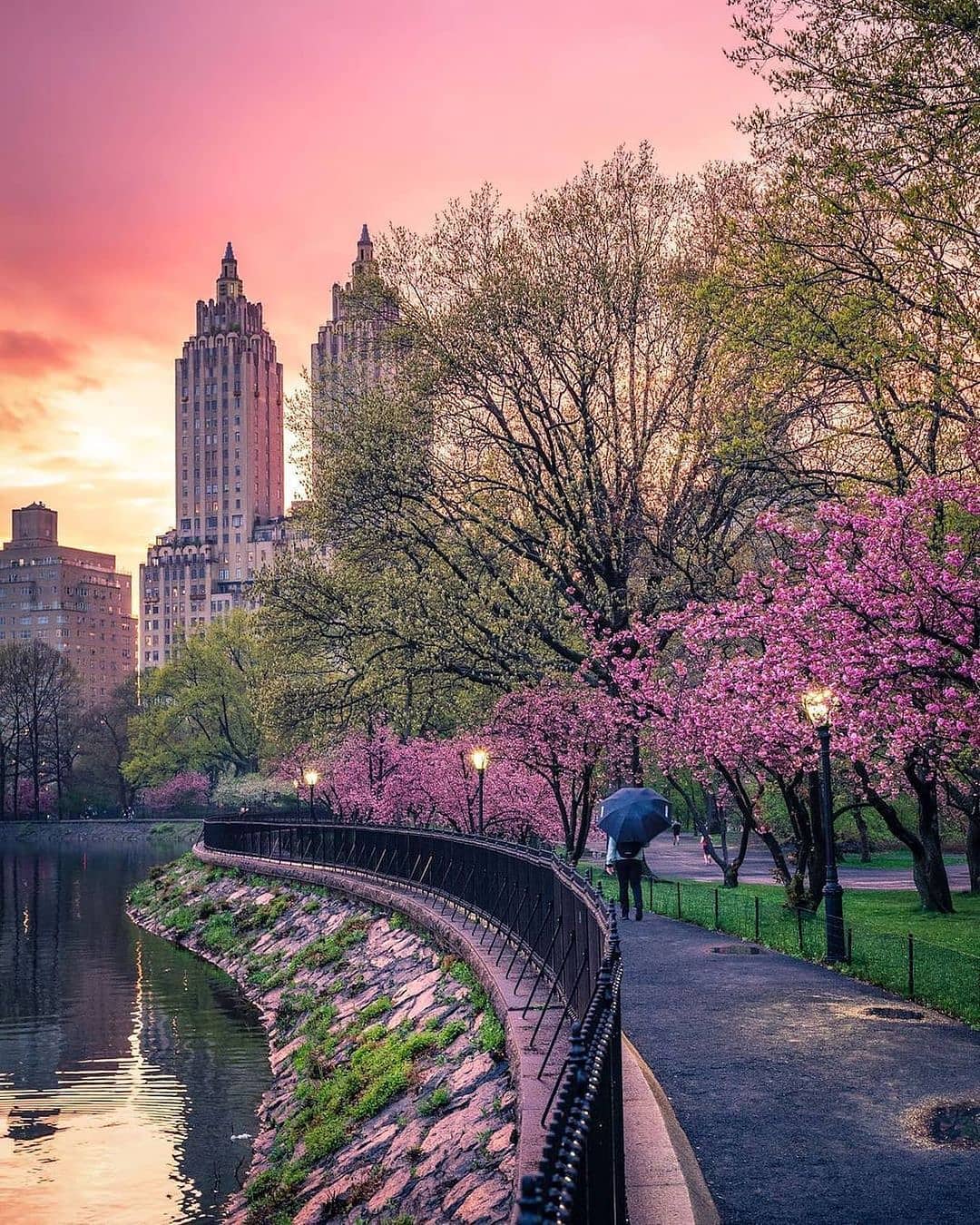 Spring In New York City Wallpapers 35,700+ Spring In New York Stock