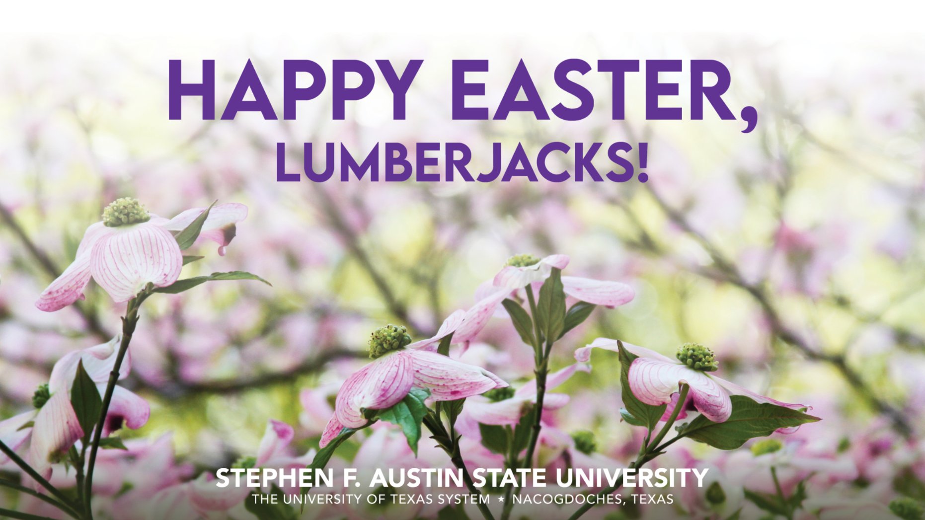 Stephen Austin Quotes Stephen F. Austin's Biography, Facts & Death