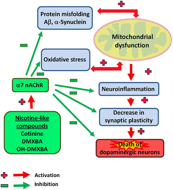 The Ultimate Thread on Nicotine 💪 A pro-metabolic, anti-inflammatory ...